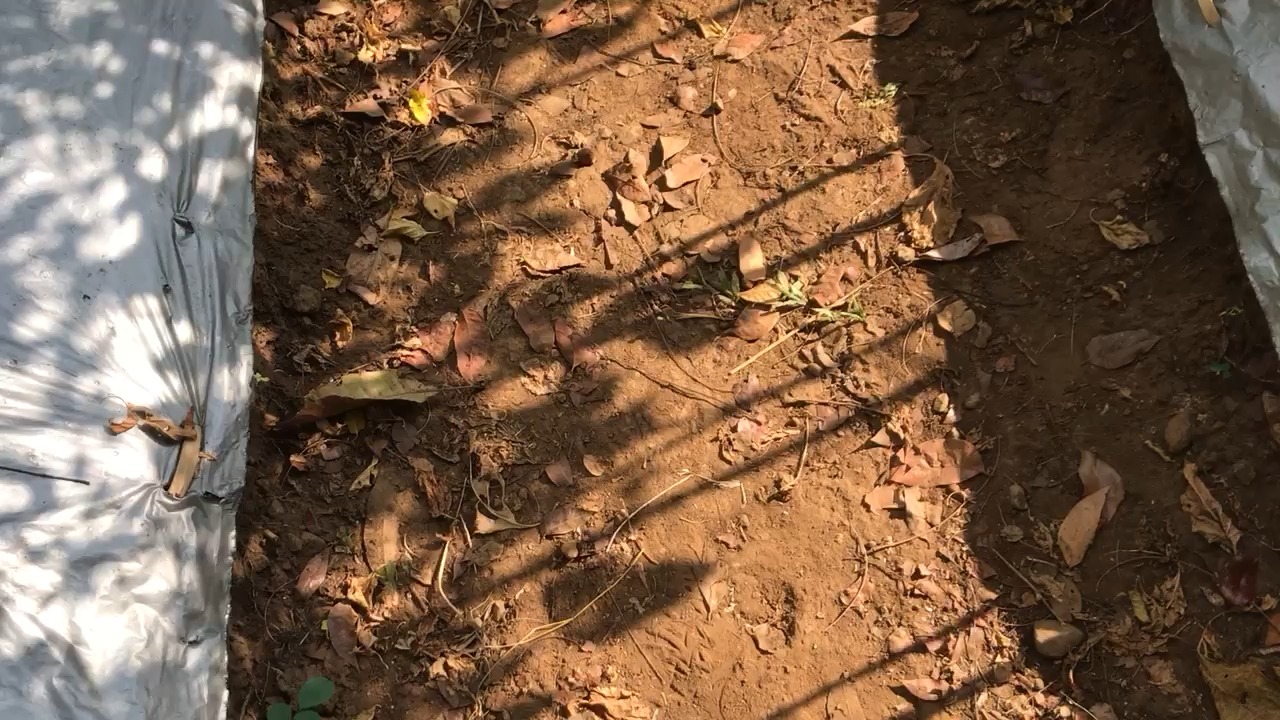 Tugas Akhir Instance Segmentation Model By Dataset Robot Semprot