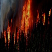 binary classification (binary-classification-clpmz) - Roboflow Universe