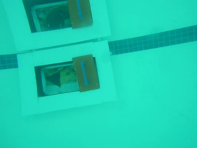 Bin2 Object Detection Model by Robosub