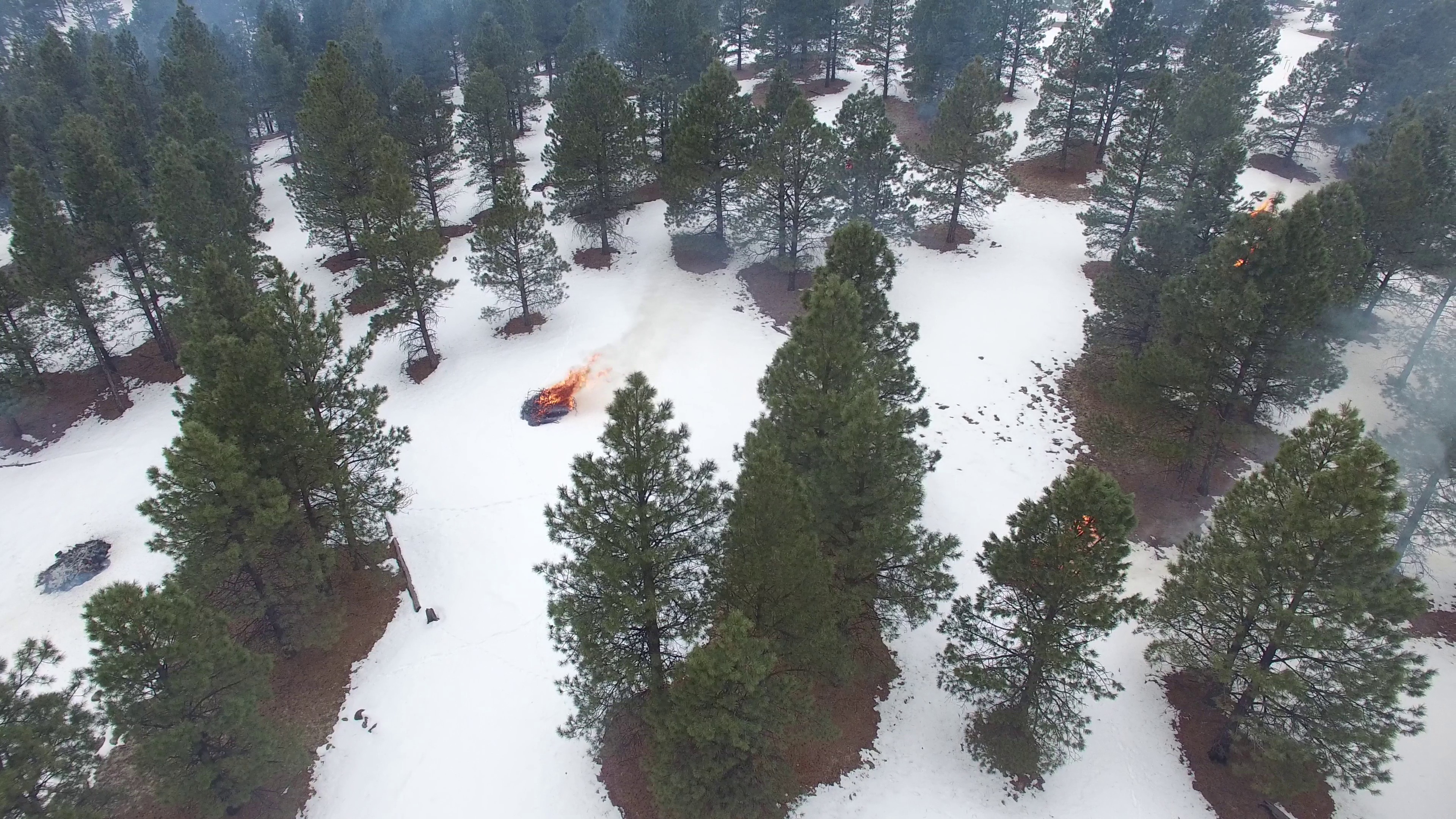 GOOD DATA SET FINAL Object Detection Model by Teknofest Data