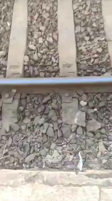 rock _data_video Instance Segmentation Dataset by university