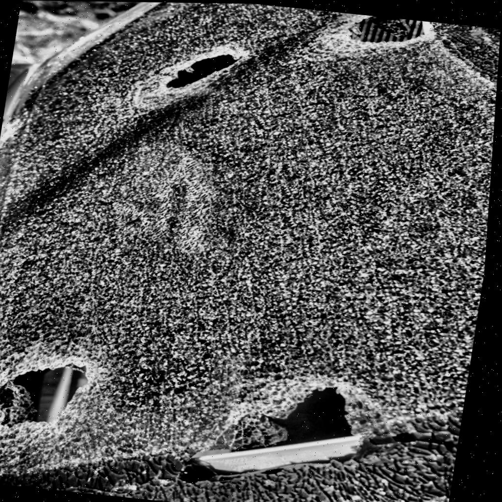 Vehicle Damage Dataset Instance Segmentation Dataset by accident