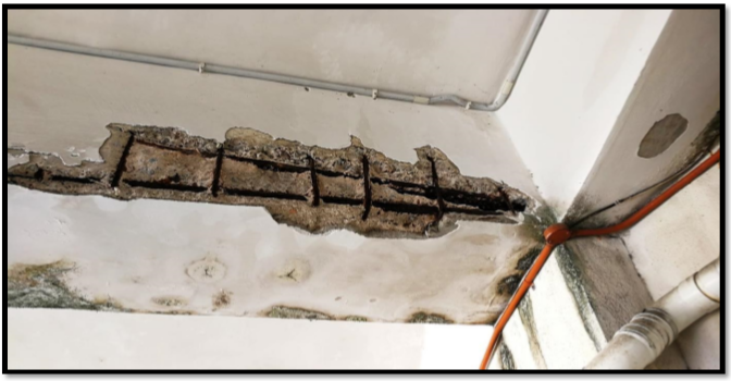 400 img Object Detection Dataset and Pre-Trained Model by Master dissertation