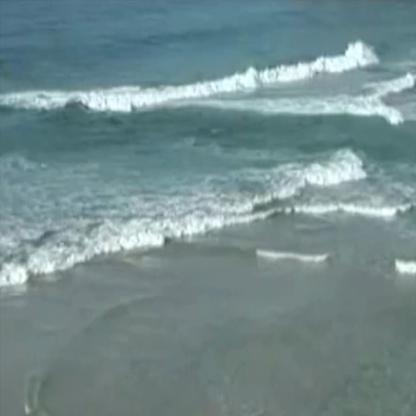 rip Object Detection Dataset by sanka madushankaresearch