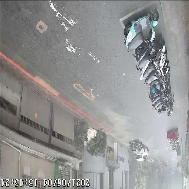 Butterfly Object Detection Dataset by TS