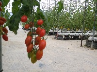 NCNU Object Detection - Roboflow Universe