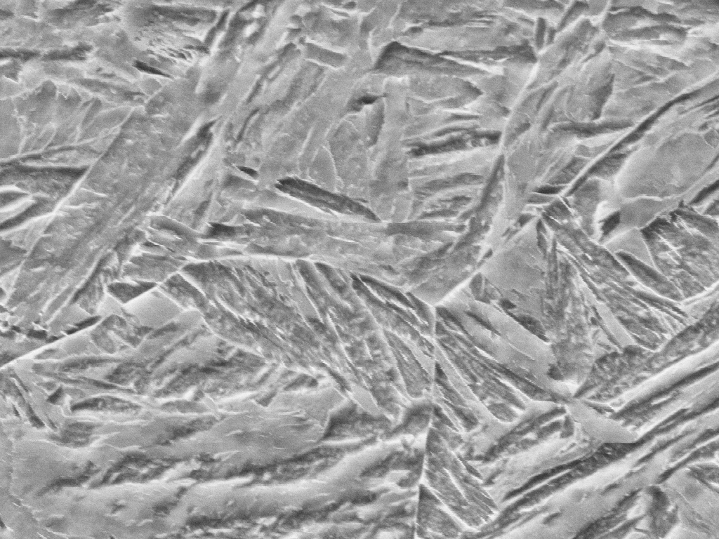 asdf Instance Segmentation Model by Yolov8