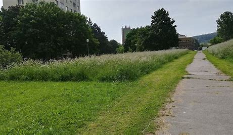 Detect And Classify Instance Segmentation Instance Segmentation Model by Martin