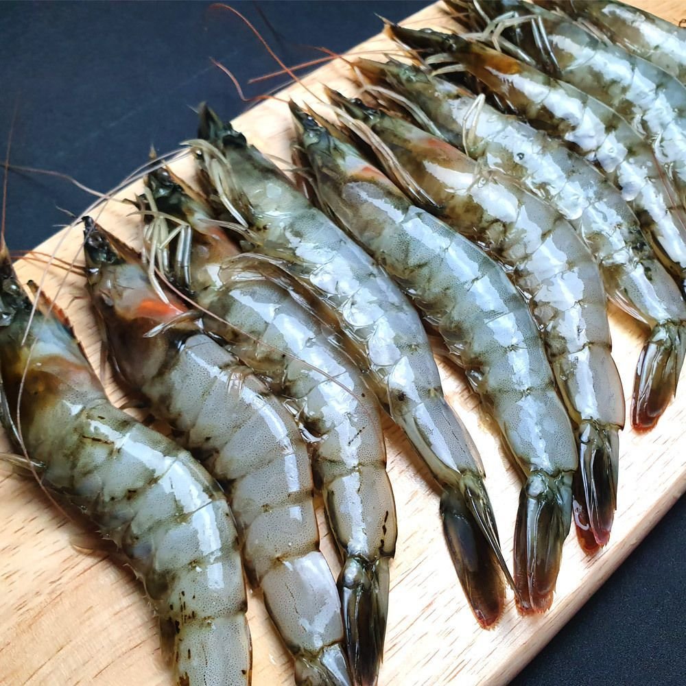 shrimp Object Detection Dataset by dolazy7@gmail.com