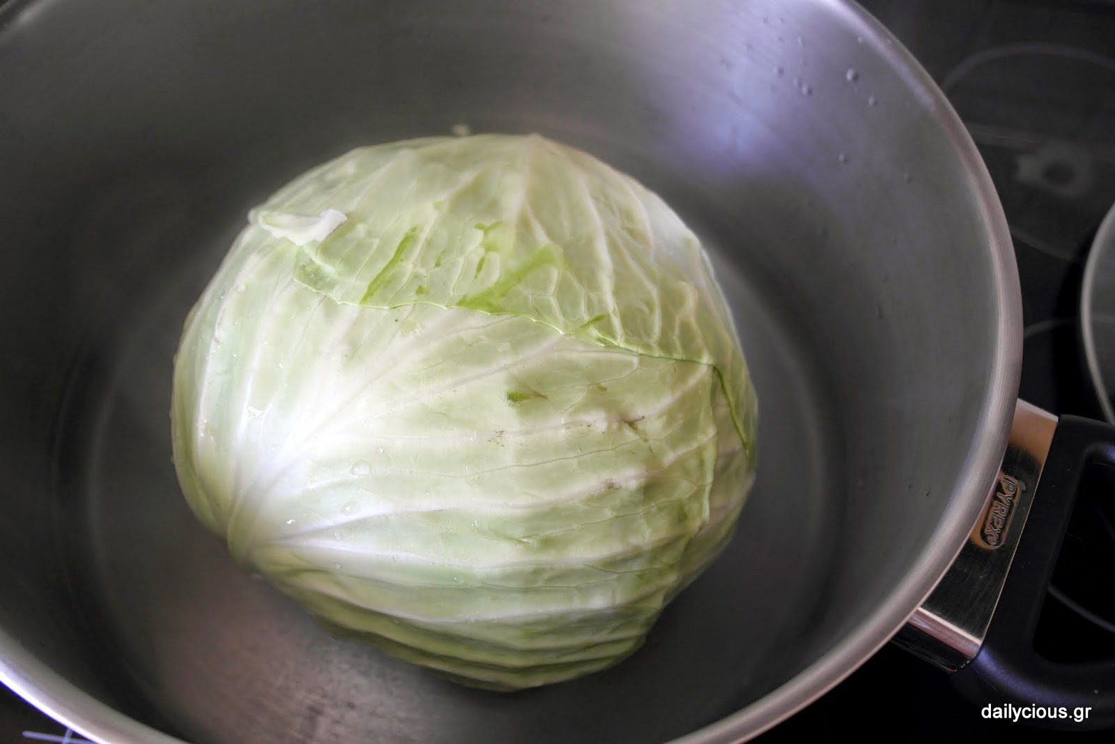 cabbage Object Detection Dataset (v2, cabbage2) by dolazy7@gmail.com