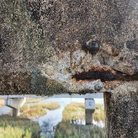 Concrete Instance Segmentation Dataset by rebar exposure and spalling