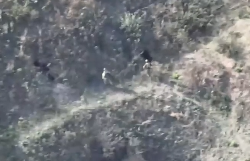 123 Object Detection Dataset and Pre-Trained Model by 234