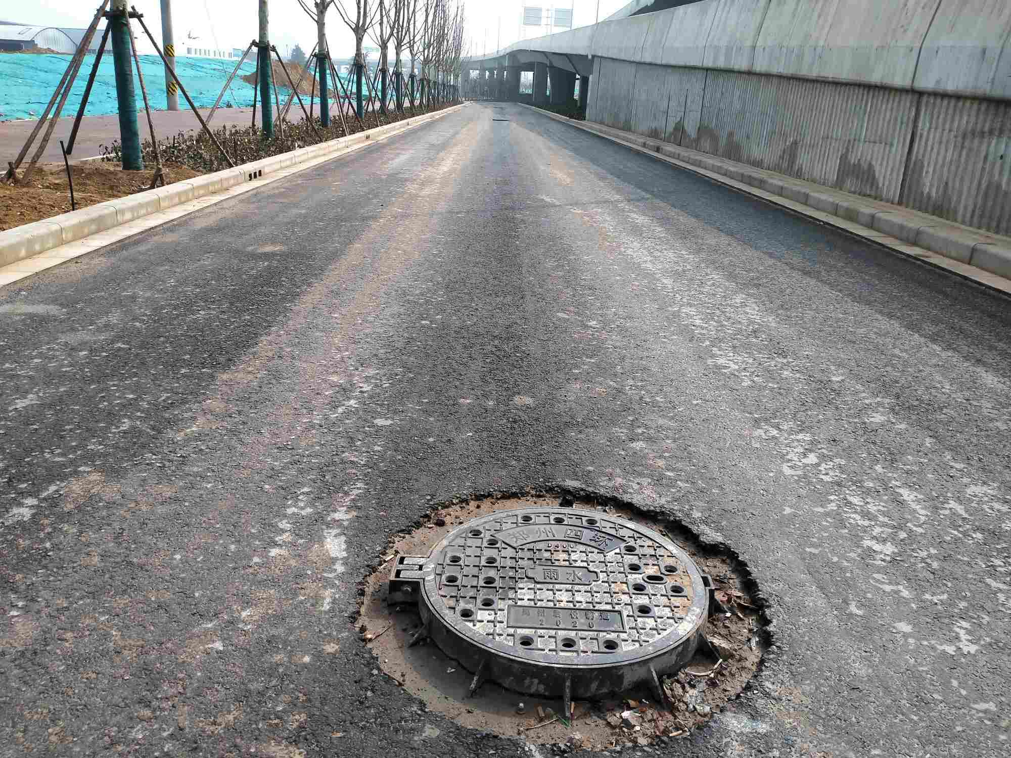 dog Object Detection Dataset by MANhole