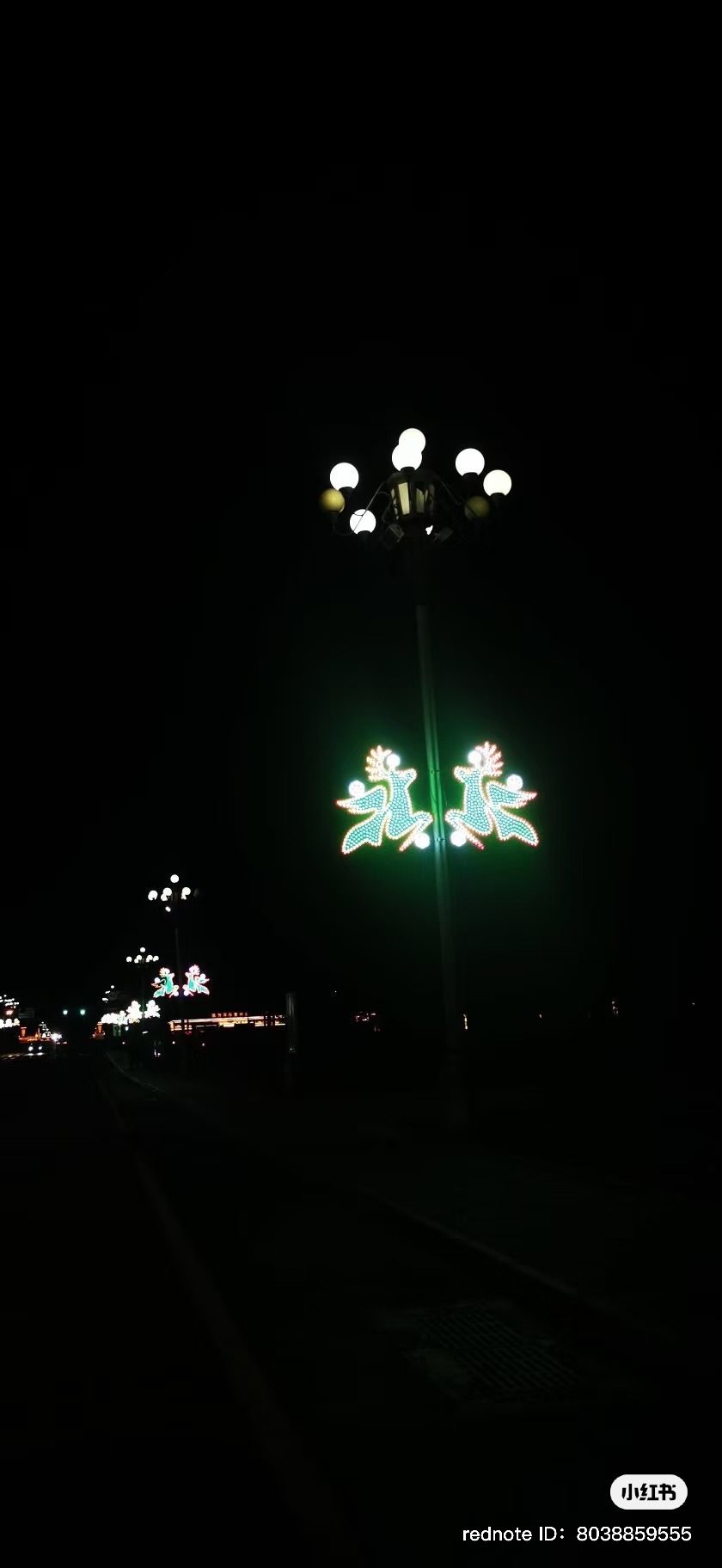 How to Use the Street Light Segmentation Instance Segmentation API