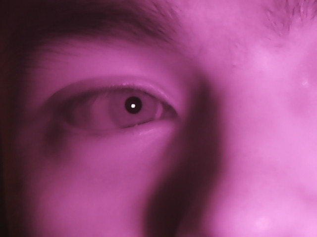 Dataset Pupil Object Detection Dataset And Pre Trained Model By