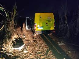 milvan Object Detection Model by noba