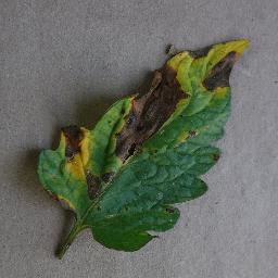 Pagdurusa Classification Model by Classification