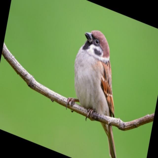 Single Detection 2 Object Detection Dataset And Pre Trained Model By A