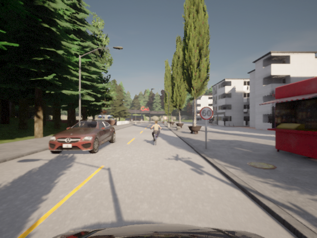 CARLA Object Detection Dataset by Alecs place