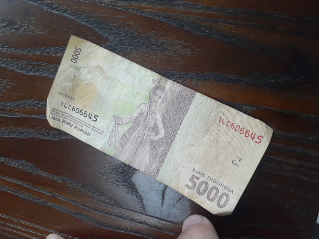 5000 Object Detection Dataset by tugas akhir