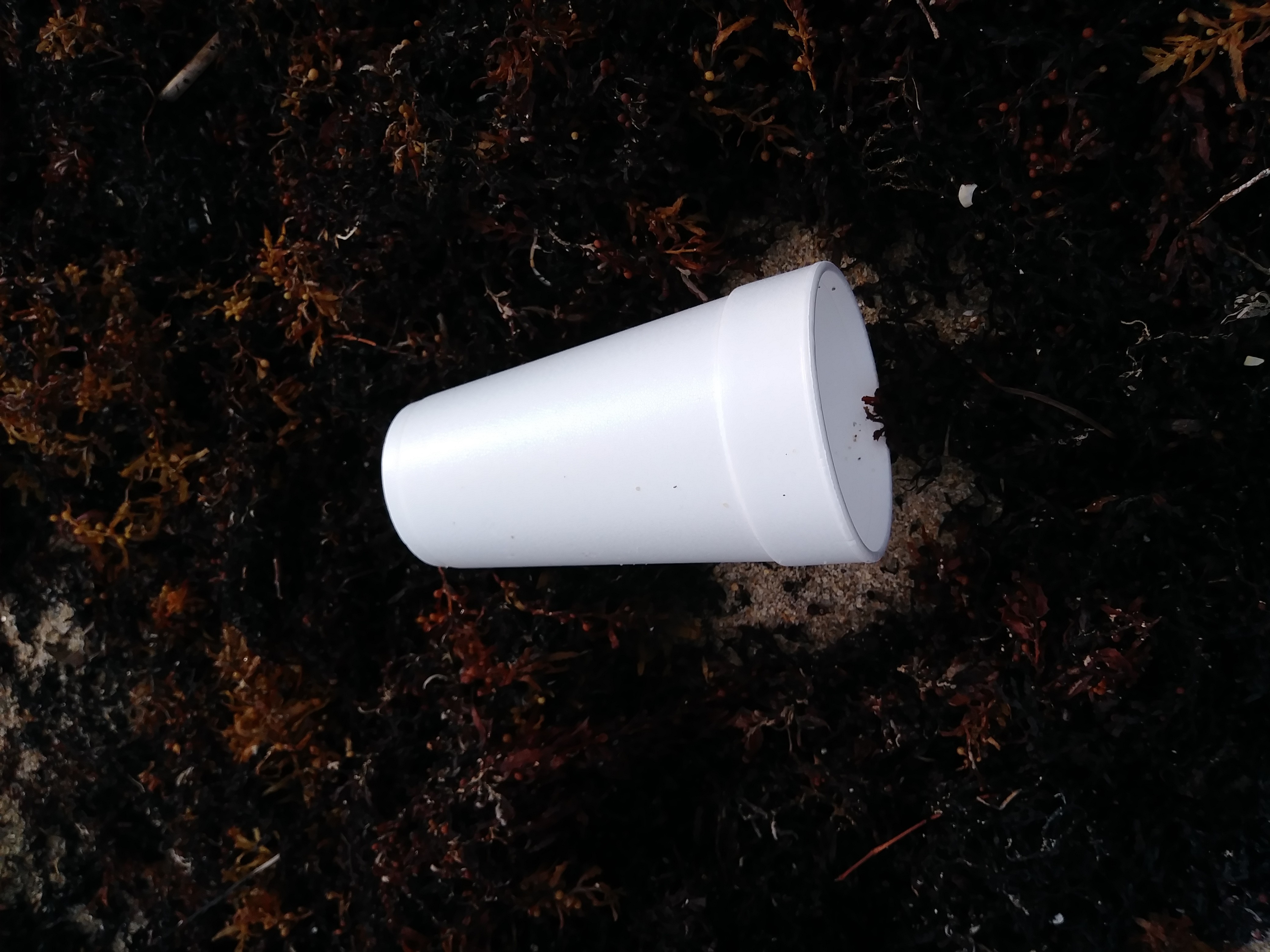 Test Trash Object Detection Dataset and Pre-Trained Model by MaxPlastOPol