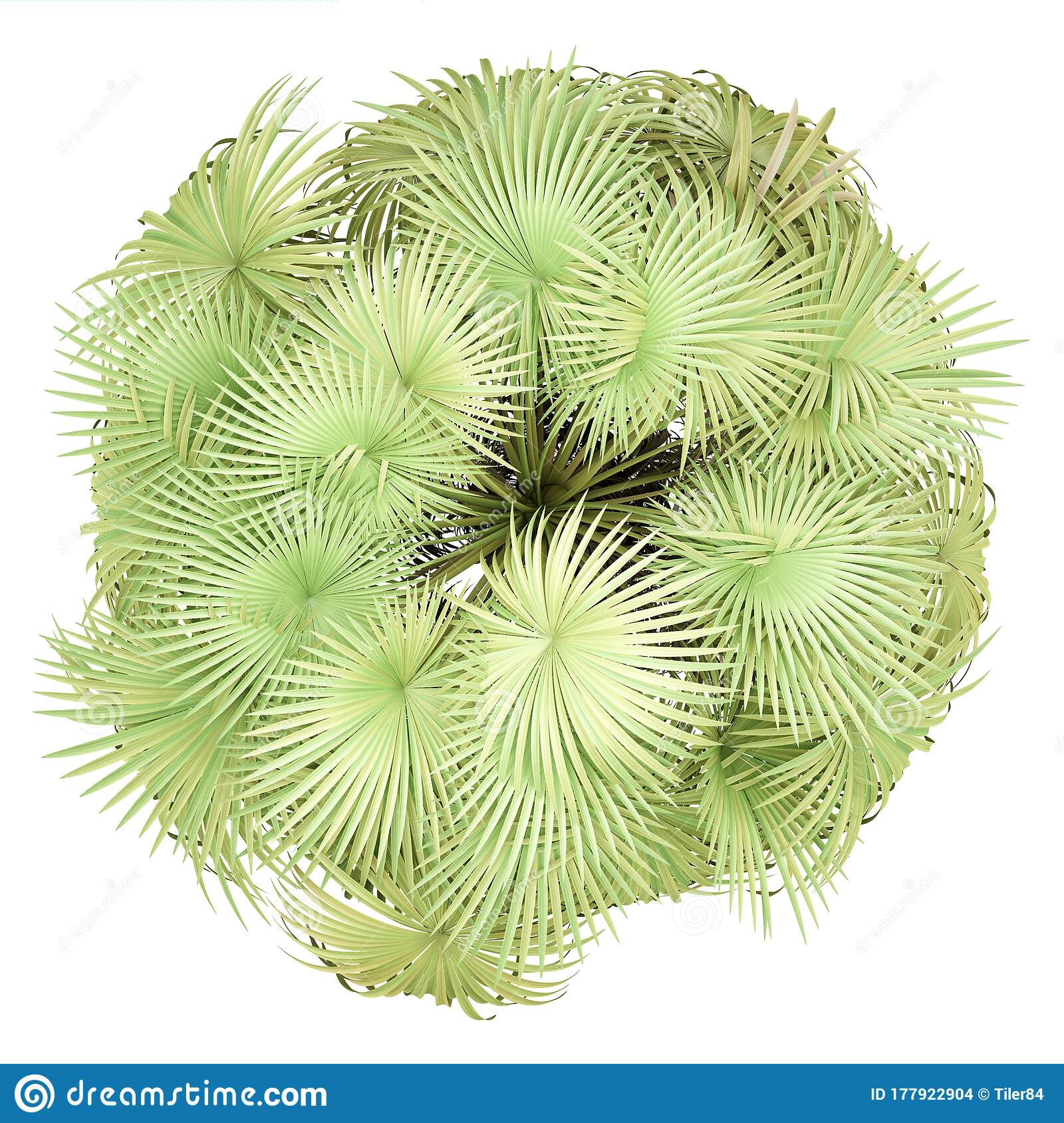 tree Object Detection Dataset by qiuyk