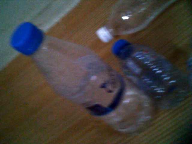 How to Use the water bottle Object Detection API