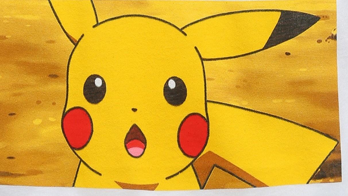 Pikachu vs Not Pikachu Classification Dataset and Pre-Trained Model by ...