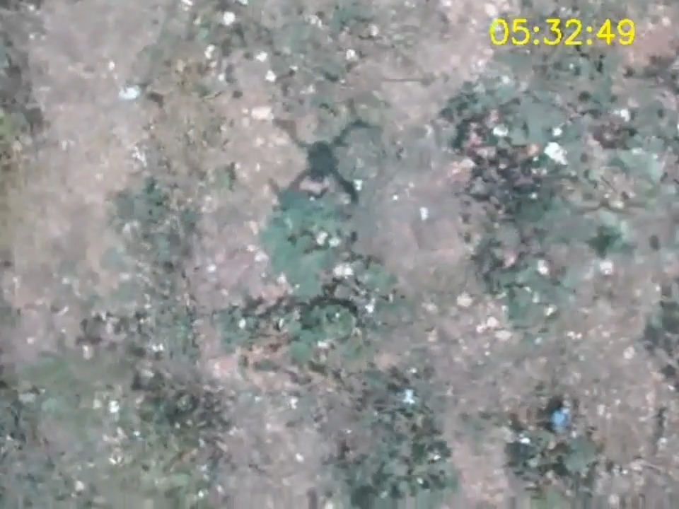 cotton yield - Roboflow Universe