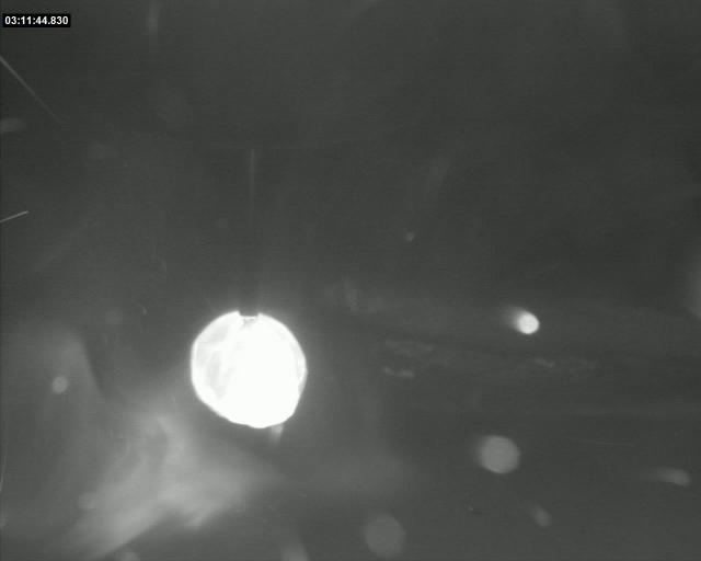 new valid for yolo and yolact(seg) Instance Segmentation Dataset by ...