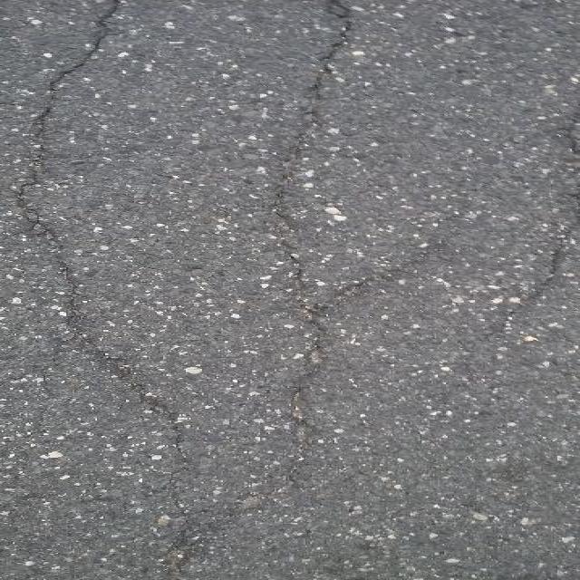 Bangkit Project Object Detection Dataset By Kecerdasan Buatan