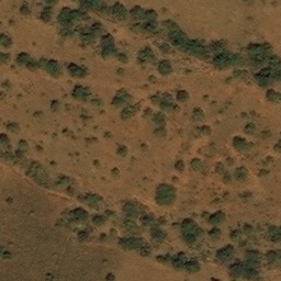 Tree Instance Segmentation Dataset by Bootcamp