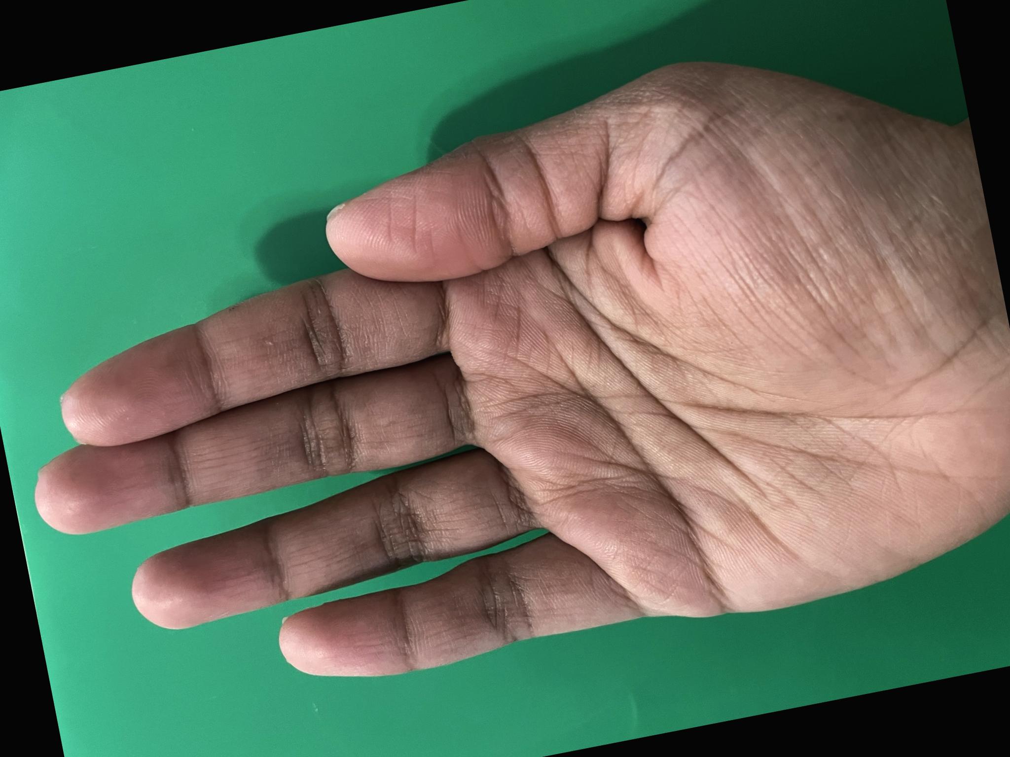 Shawnas Workspace - Roboflow Universe