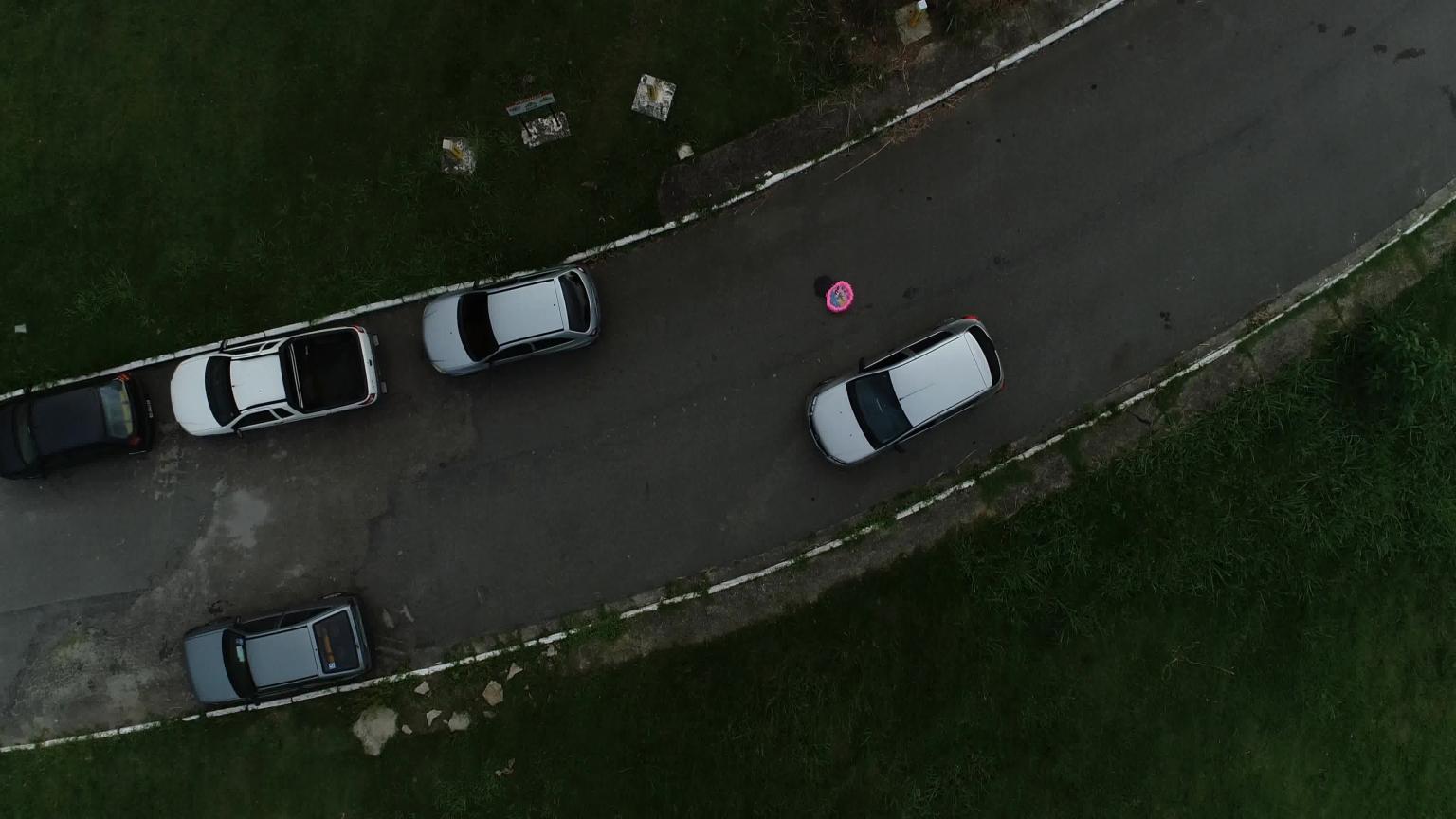 Mbg Mosquito Object Detection Dataset By Viniciuss Workspace