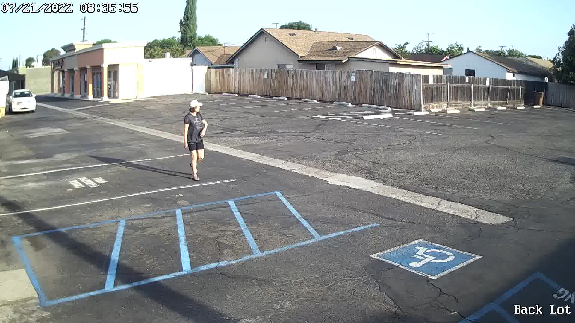 yolov3 Object Detection Dataset by humandet