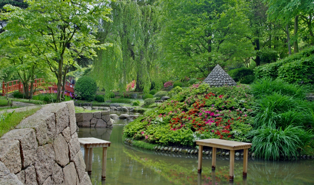 openImages Object Detection Dataset by ImageDrivenConversational AI