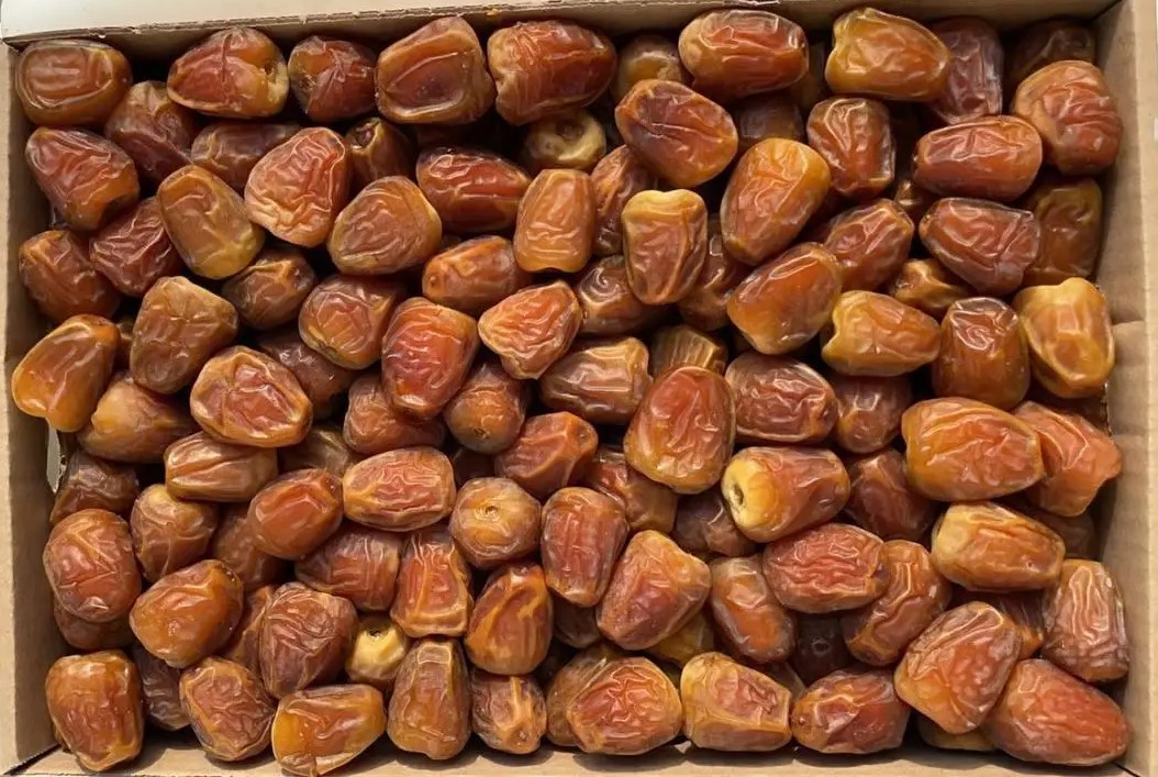 dates type Classification Model by project is498