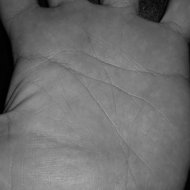 Hand Palm reco Object Detection Dataset and Pre-Trained Model by college