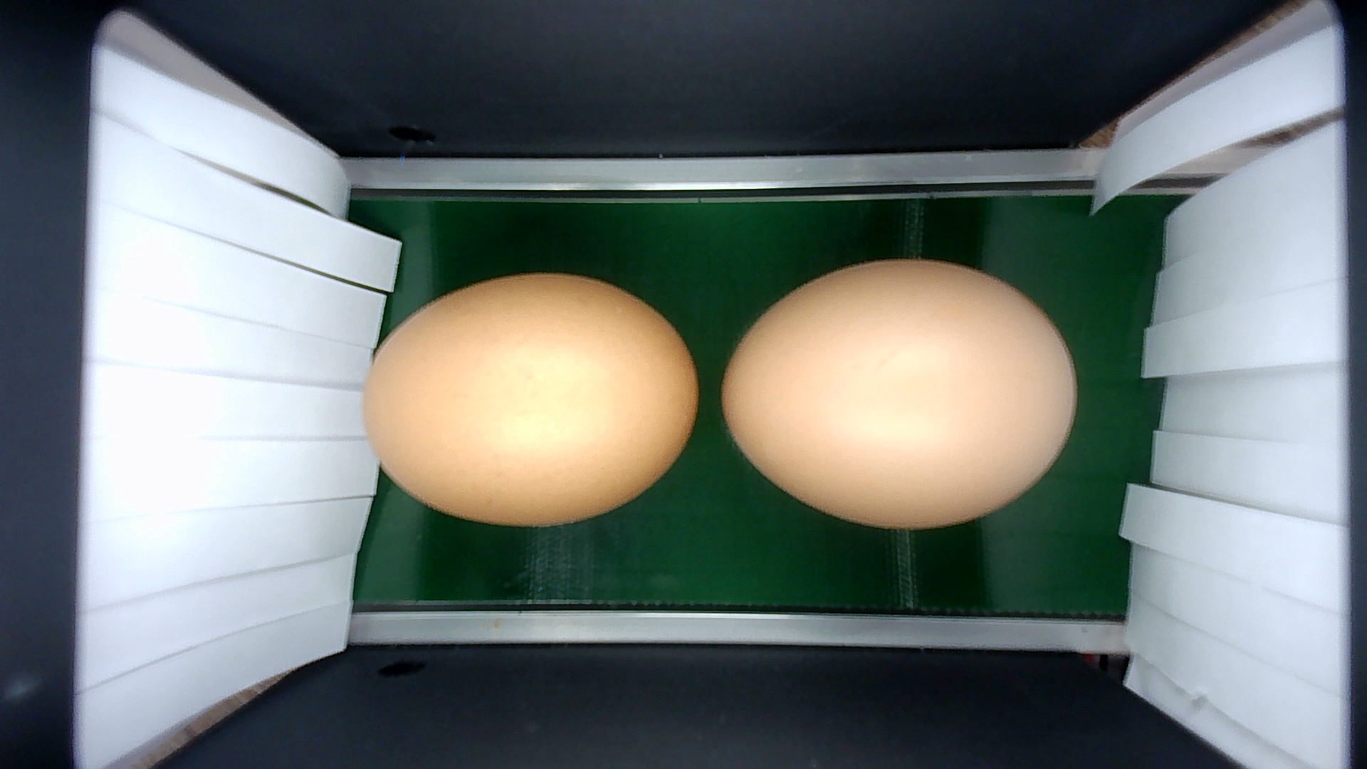 Egg Detection Object Detection Model by Sorn Egg Detection