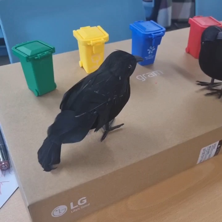 Crow Trashbox Object Detection Dataset By Bookdetection