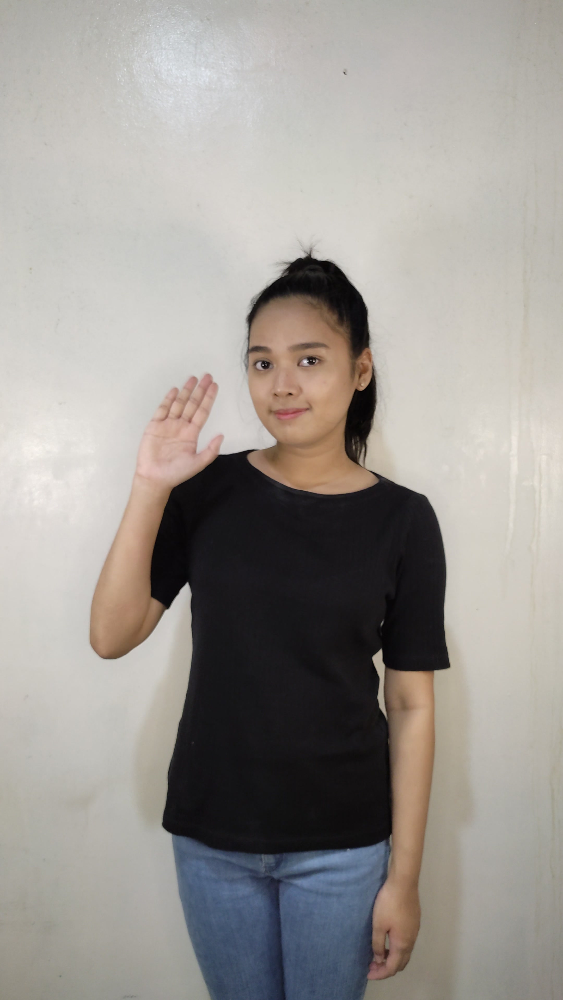 FSL Object Detection Dataset by TechKnow