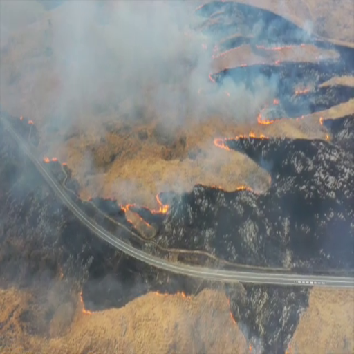 Wildfire Detection Object Detection Dataset And Pre Trained Model By Fydp