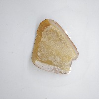 copragradedetection - Roboflow Universe