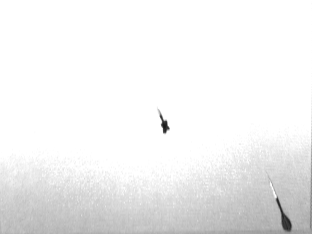 IR_DART Object Detection Dataset and Pre-Trained Model by TaiChen Tsai