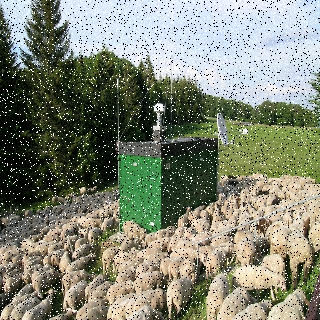 Sheep Object Detection Model V1 2024 04 23 7 44pm By Cempire