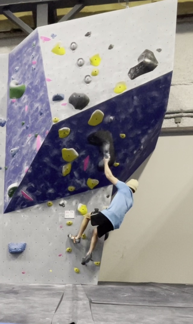 climb Instance Segmentation Dataset and Pre-Trained Model by Itdesk