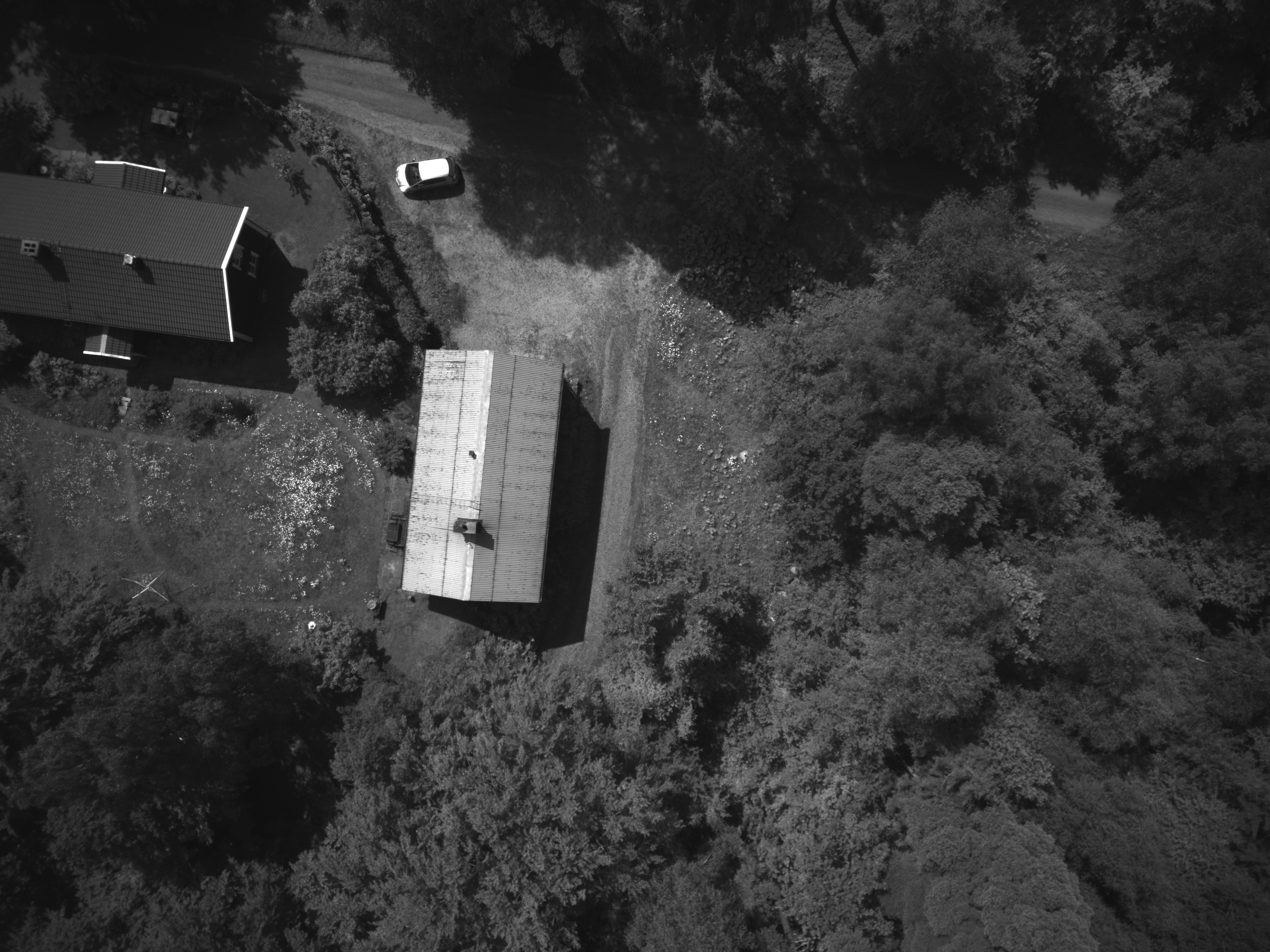 G_TIF Instance Segmentation Dataset by PRoject 1