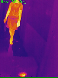 Mouse Object Detection Dataset by WhiteMouse