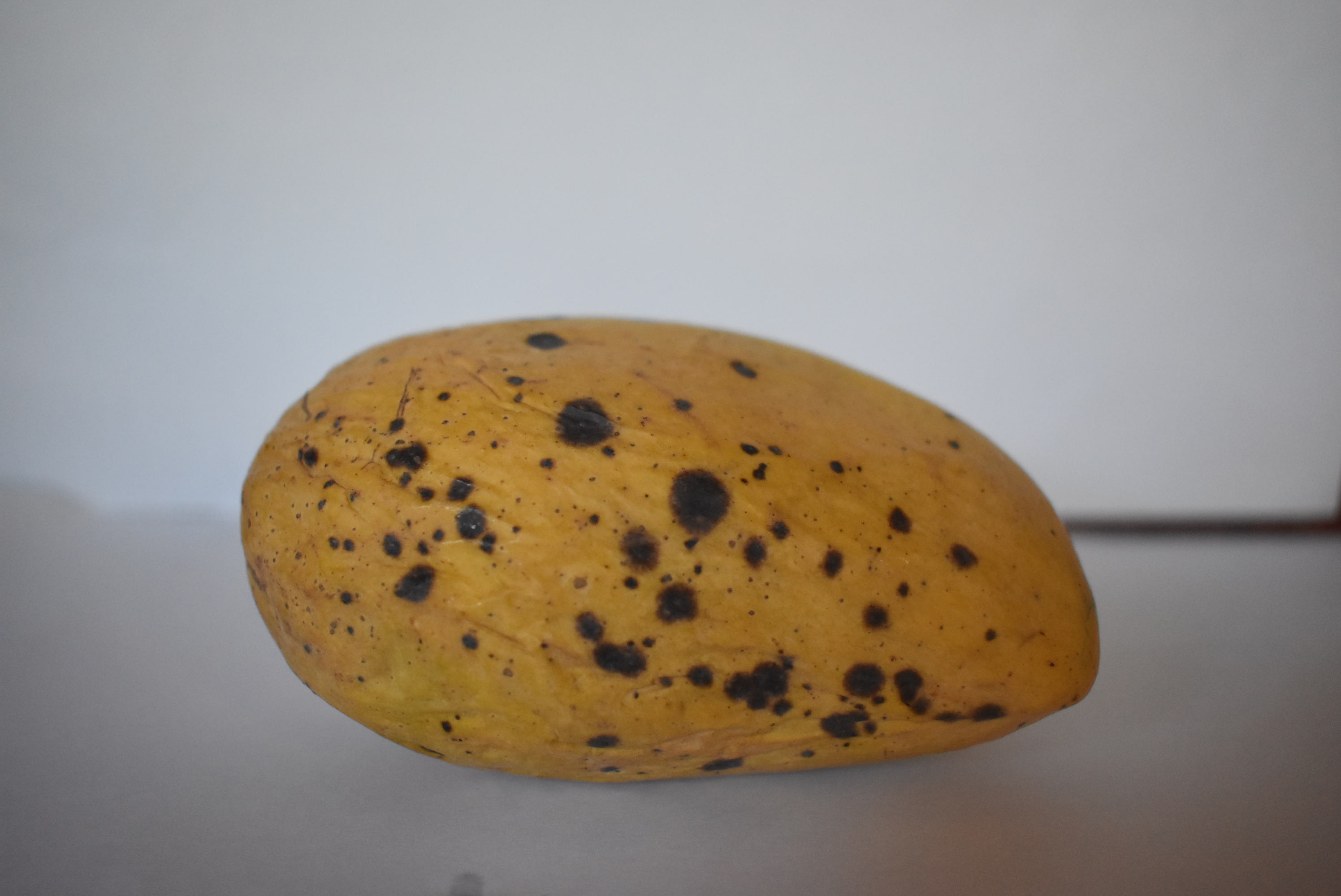 Mango Defect Detection Object Detection Dataset by KAYCEE KAYE Y VILLANUEVA Mango Defect Detection Object Detection Dataset by KAYCEE KAYE Y VILLANUEVA