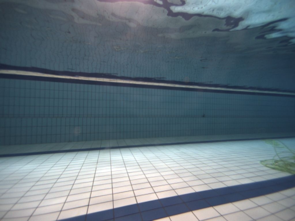 Poles Instance Segmentation Dataset by Amadeus